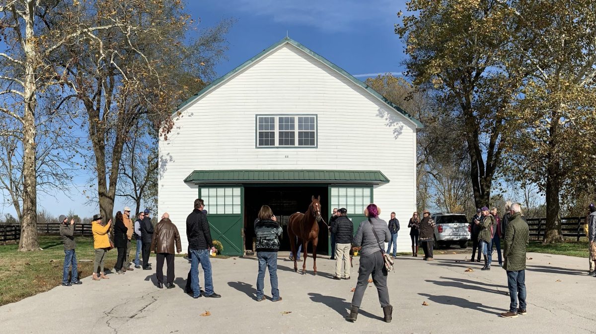 Publications – Emily J Plant, Phd